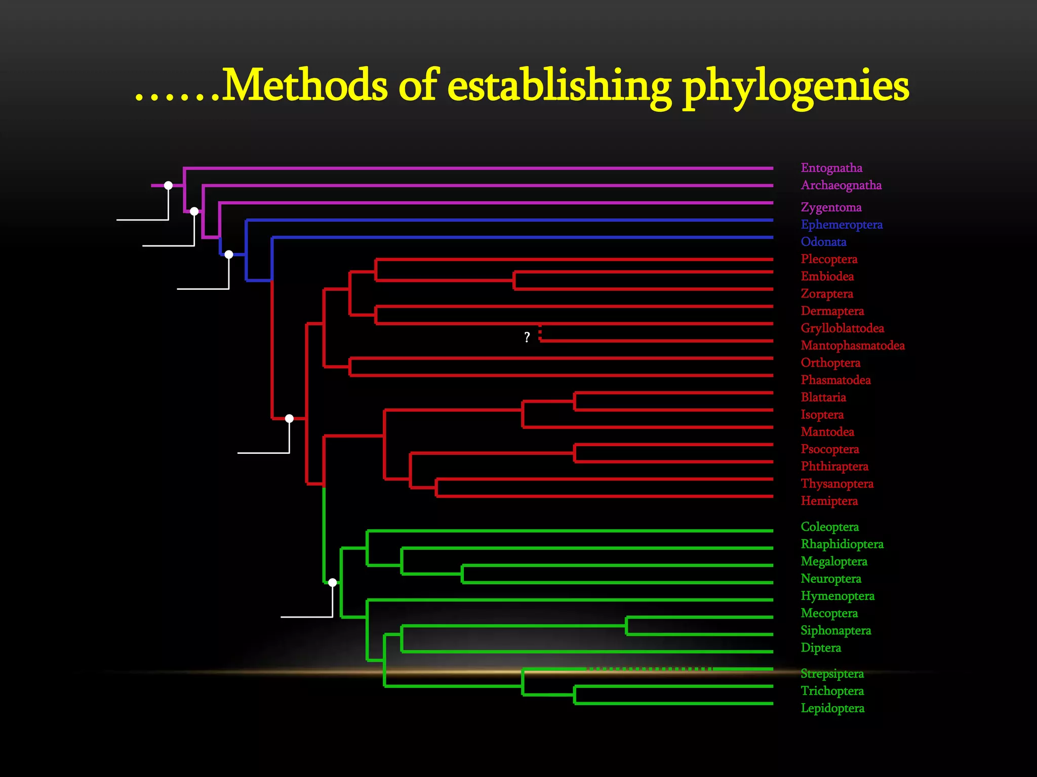 DNA Fingerprinting for Taxonomy and Phylogeny.pptx