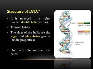 DNA Fingerprinting for Taxonomy and Phylogeny.pptx