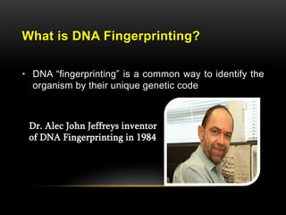 DNA Fingerprinting for Taxonomy and Phylogeny.pptx