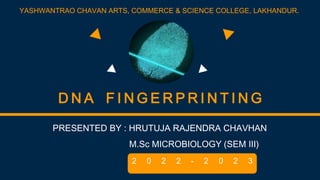 DNA Fingerprinting | PPTX | Genetics | Science
