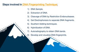 DNA Fingerprinting | PPTX | Genetics | Science