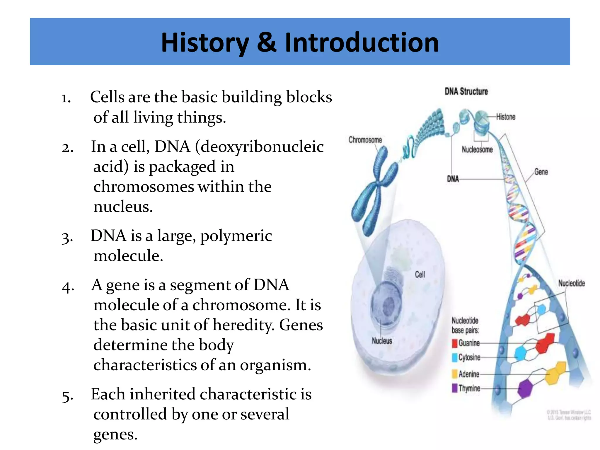 DNA Fingerprinting & its techniques by Shiv Kalia (M.Pharma in ...