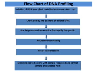 DNA Fingerprinting & its techniques by Shiv Kalia (M.Pharma in ...