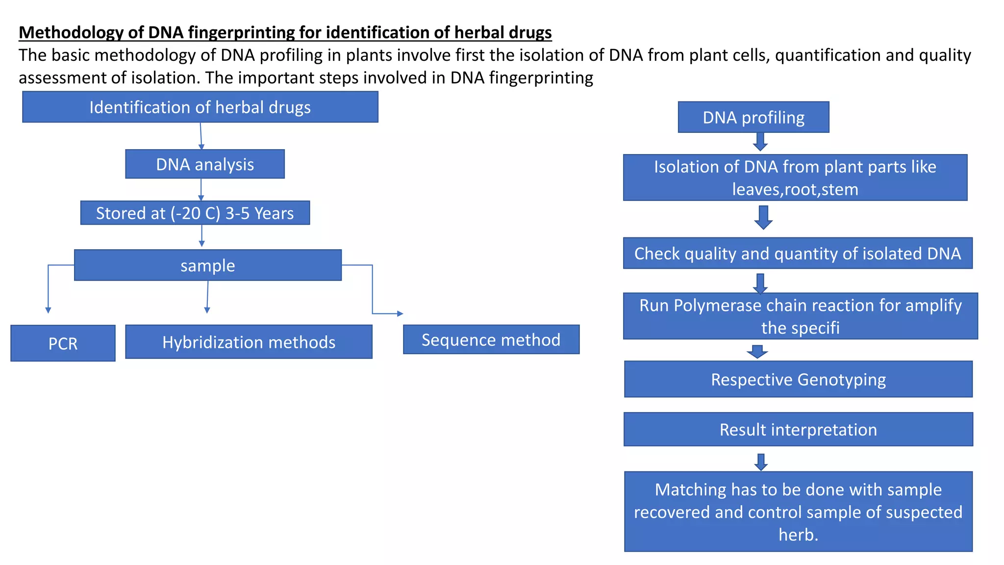 Dna fingerprinting of herbal drugs | PPTX