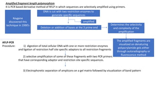 Dna fingerprinting of herbal drugs | PPTX