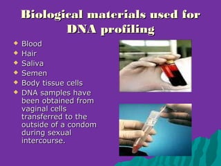 DNA Fingerprinting | PPT