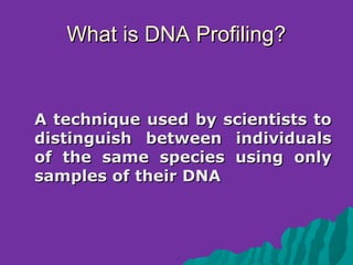 DNA Fingerprinting | PPT