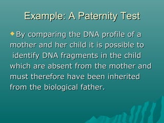 DNA finger printing | PPT