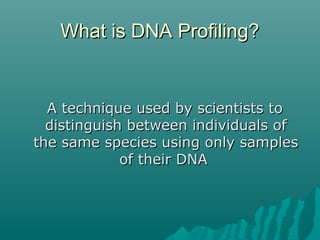 DNA finger printing | PPT