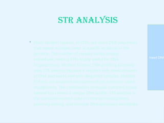 DNA_Fingerprinting_Presentation_With_Design.pptx