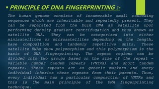 DNA FINGERPRINT (new).pptx