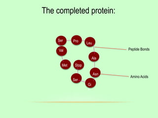 Dna flipbook | PPT | Free Download