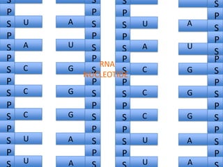 Dna flipbook project | PPT