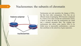 DNA FOLDING.pptx Negar Tehrani ........... | PPT