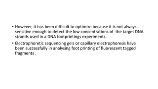 Dna footprinting | PPTX