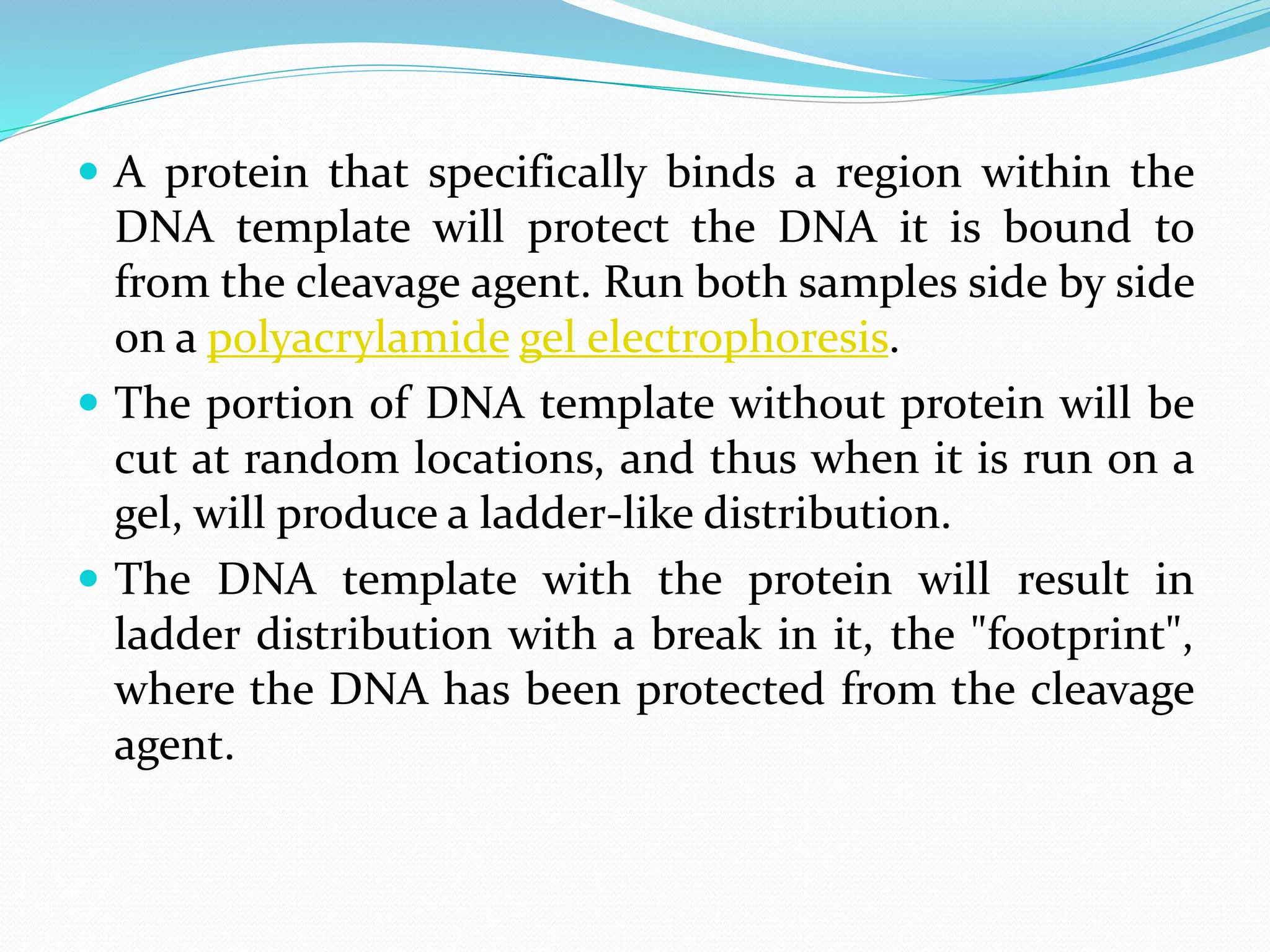 Dna footprinting | PPTX | Chemistry | Science