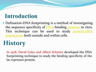 Dna footprinting | PPTX | Chemistry | Science
