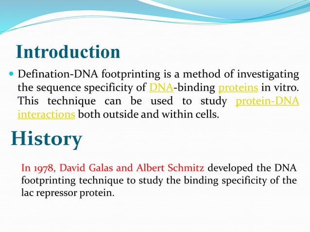 Dna footprinting | PPTX | Chemistry | Science