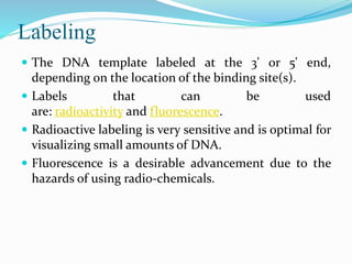 Dna footprinting | PPTX | Chemistry | Science