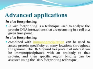 Dna footprinting | PPTX | Chemistry | Science