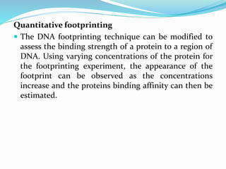 Dna footprinting | PPTX | Chemistry | Science