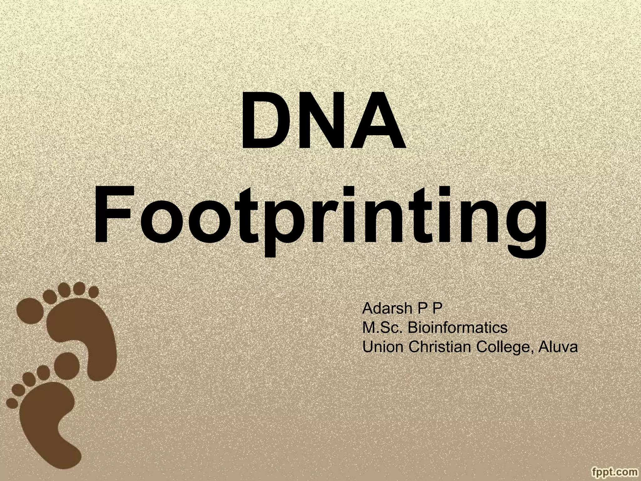 Dna Footprinting | PPT