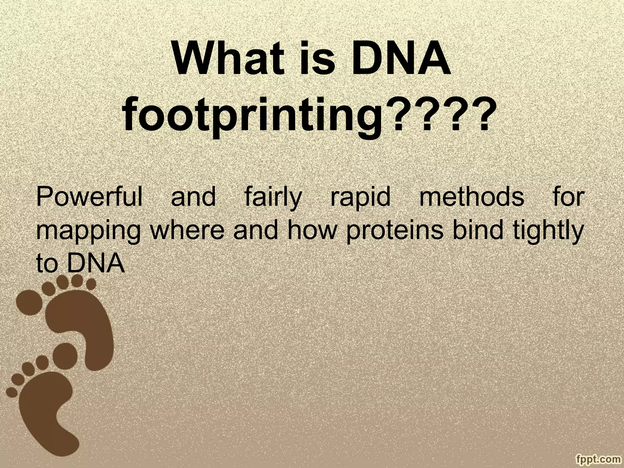 Dna Footprinting | PPT
