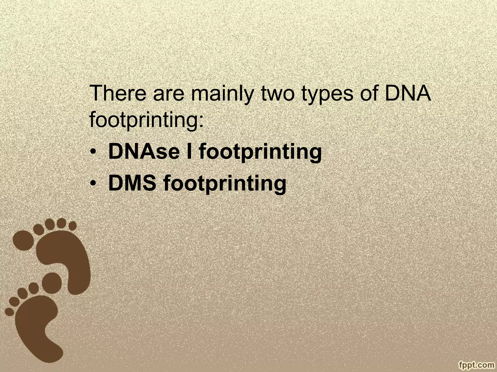 Dna Footprinting | PPT