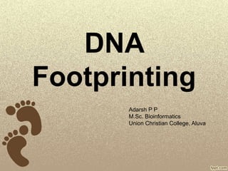 Dna Footprinting | PPT