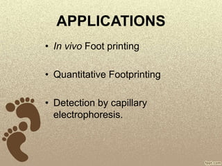 Dna Footprinting | PPT
