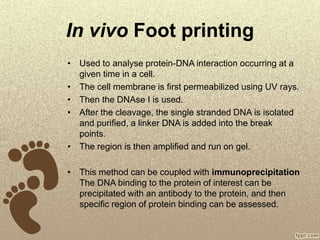 Dna Footprinting | PPT