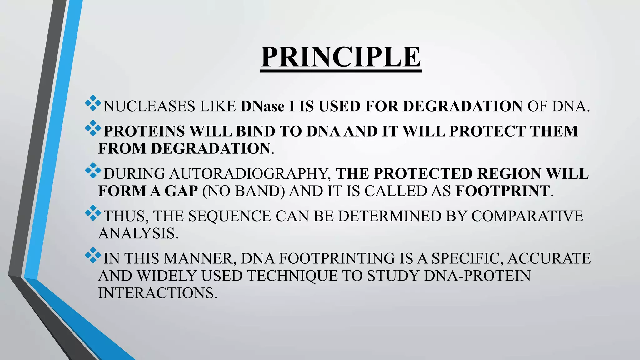 DNA Footprinting | PPTX
