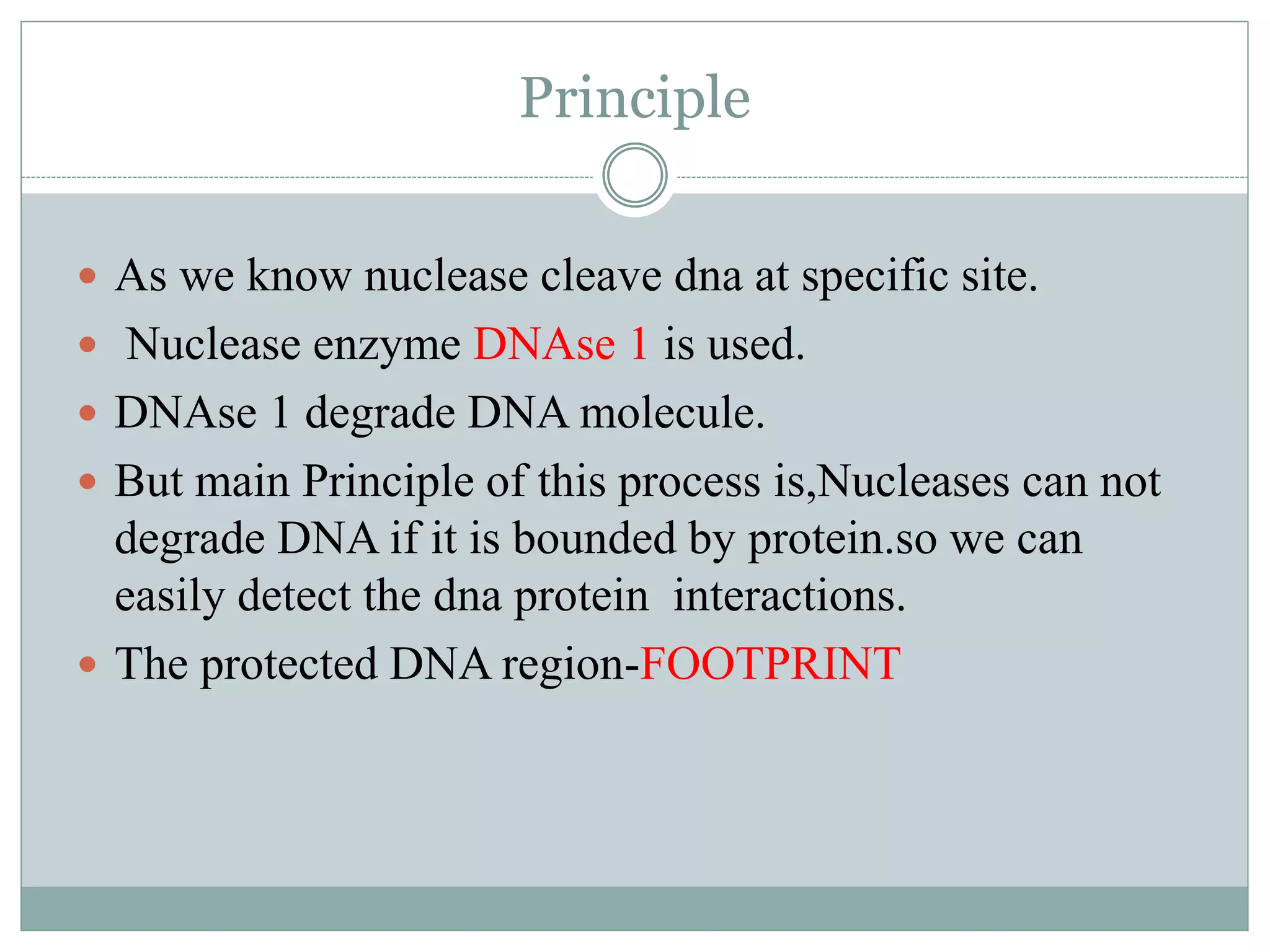 DNA FOOTPRINTING.pptx