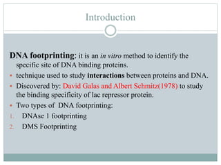 DNA FOOTPRINTING.pptx