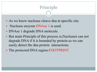 DNA FOOTPRINTING.pptx