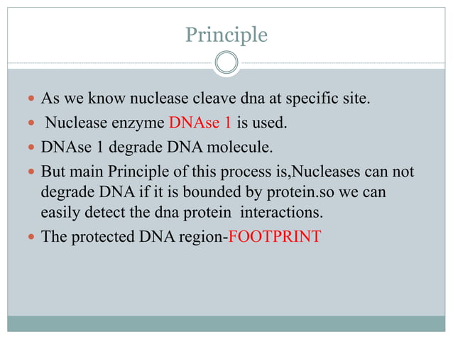 DNA FOOTPRINTING.pptx | Genetics | Science