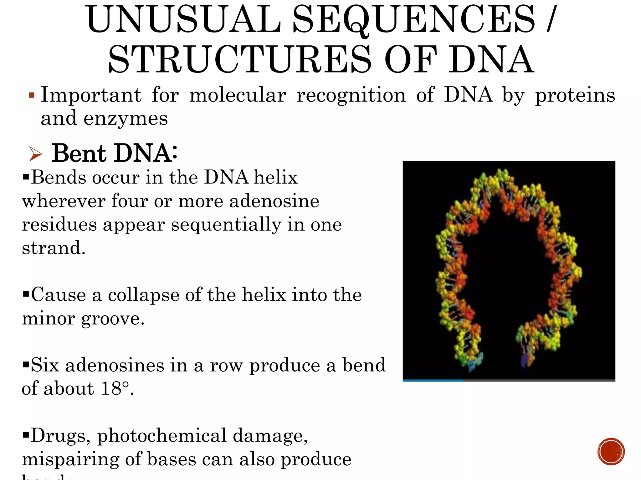 Deoxyribonucleic Acid (DNA) | PPTX
