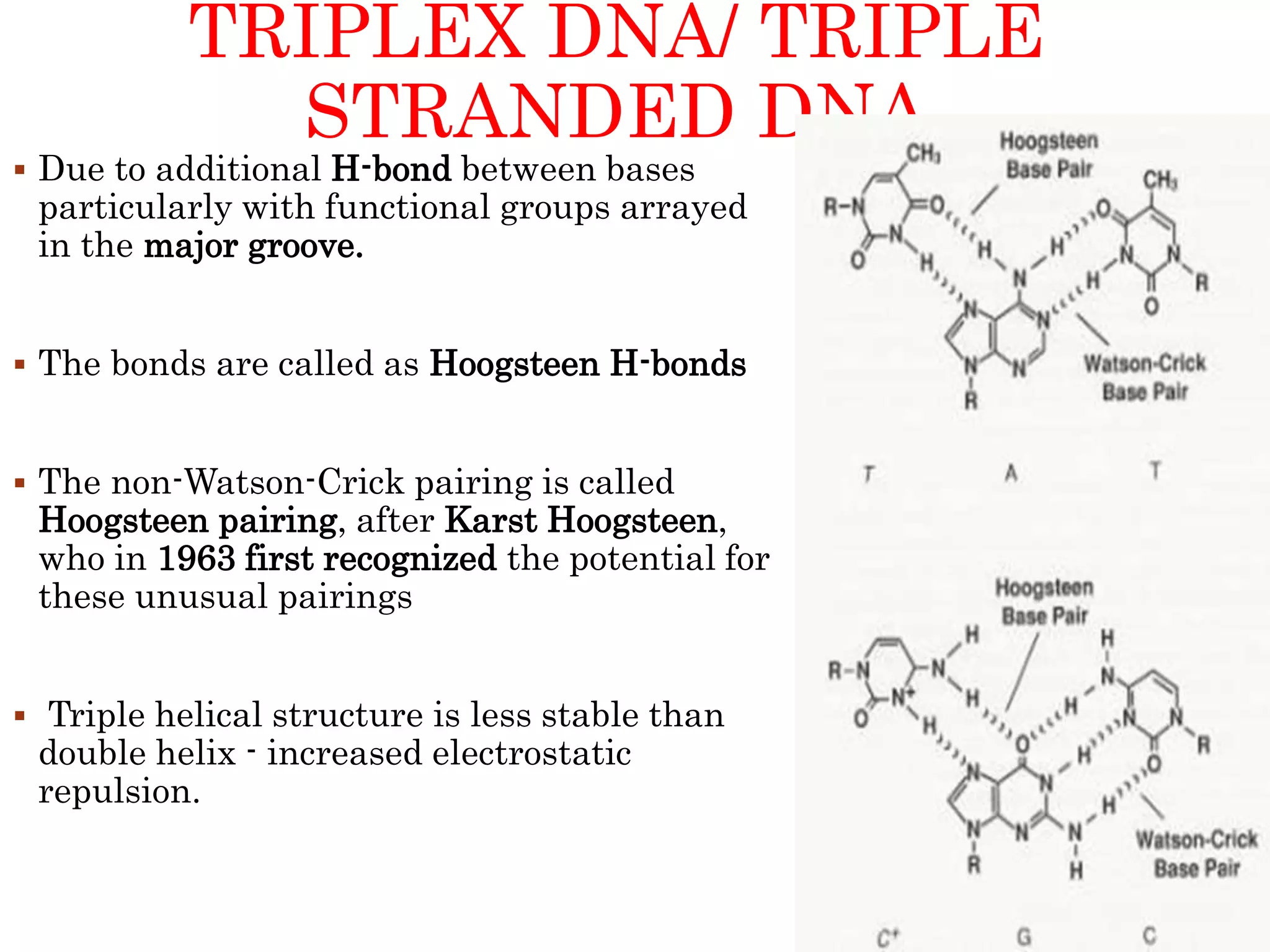 Deoxyribonucleic Acid (DNA) | PPTX
