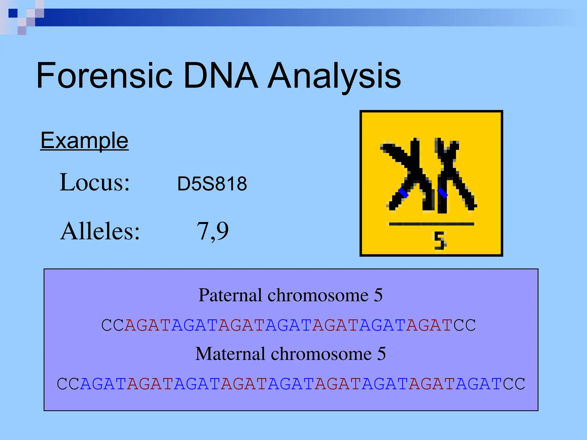 dnaforensic-120627141640-...phpapp02.ppt