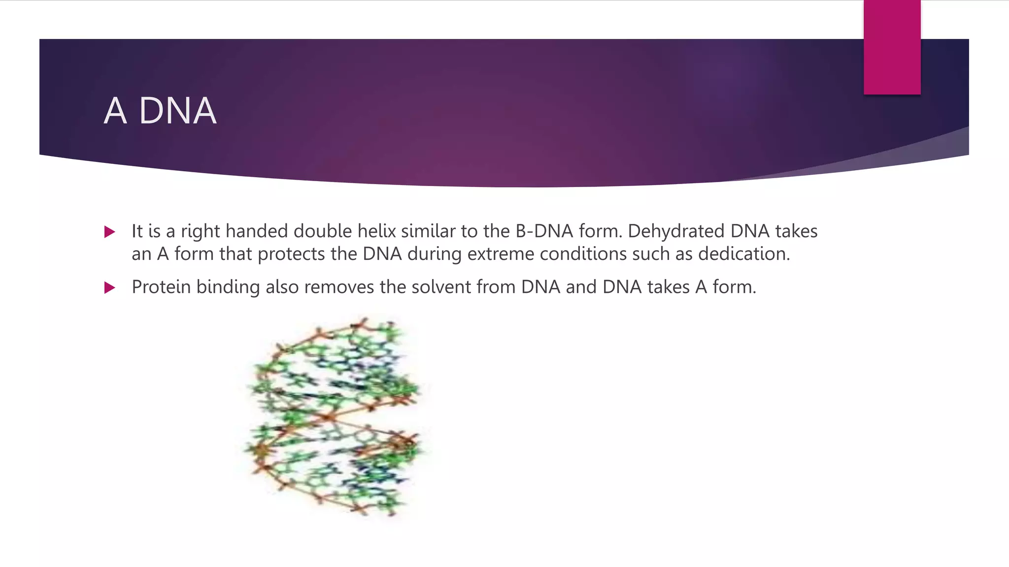 DNA forms and Structures 0723bh-e-zoo-20.pptx