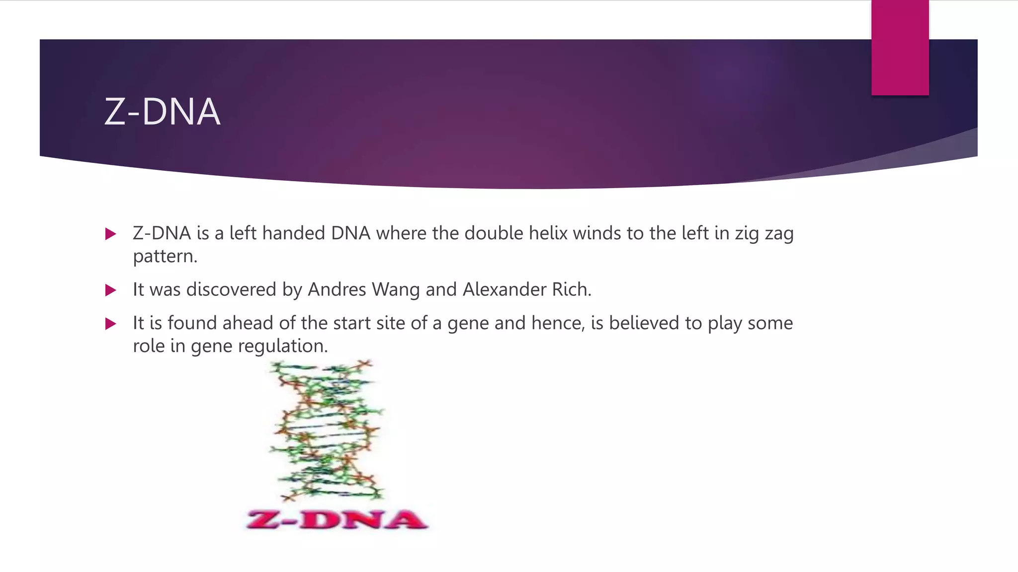 DNA forms and Structures 0723bh-e-zoo-20.pptx