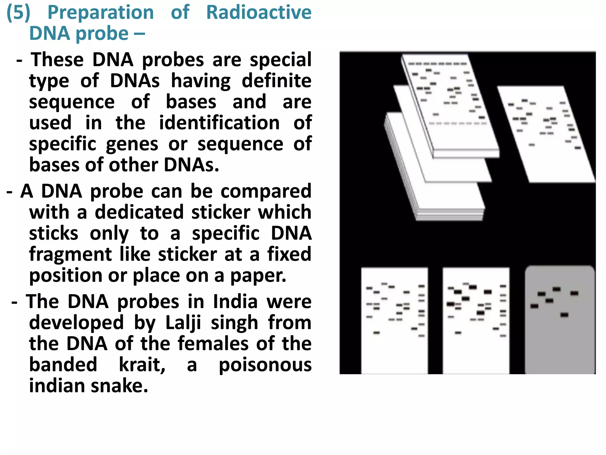 Dna finger printing | PPTX