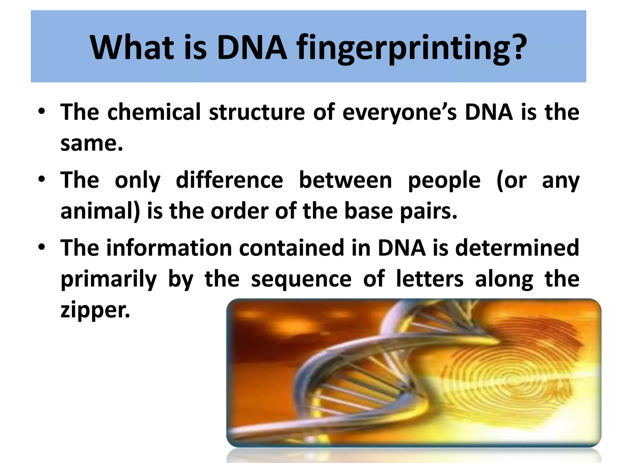 Dna finger printing | PPTX