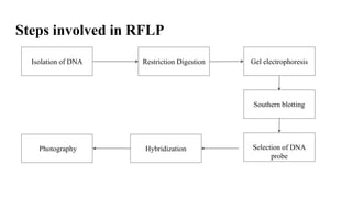 DNA fingerprinting benefits and involvement of modern world | PPTX