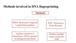 DNA fingerprinting benefits and involvement of modern world | PPTX