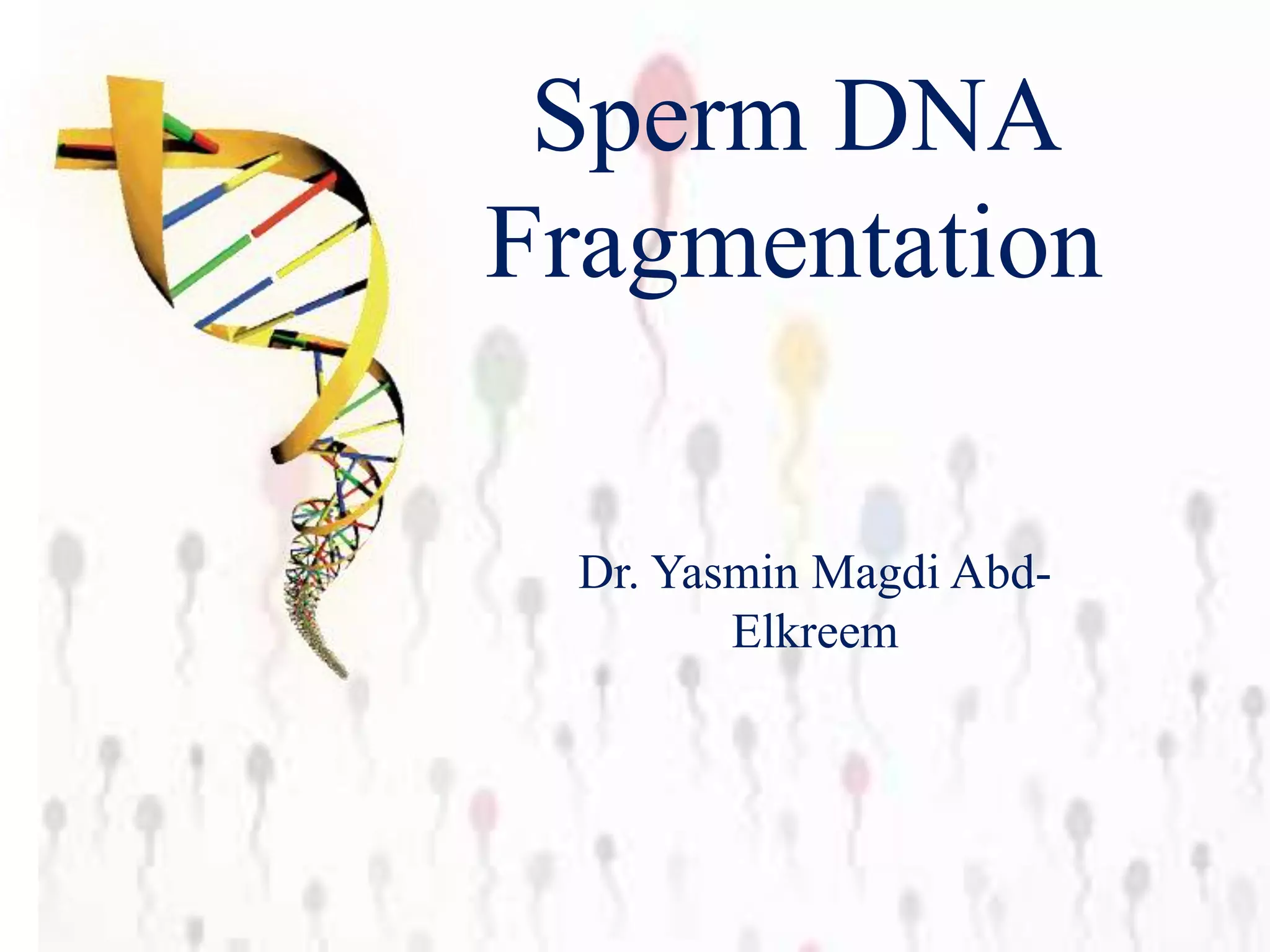 Sperm DNA fragmentation | PPTX