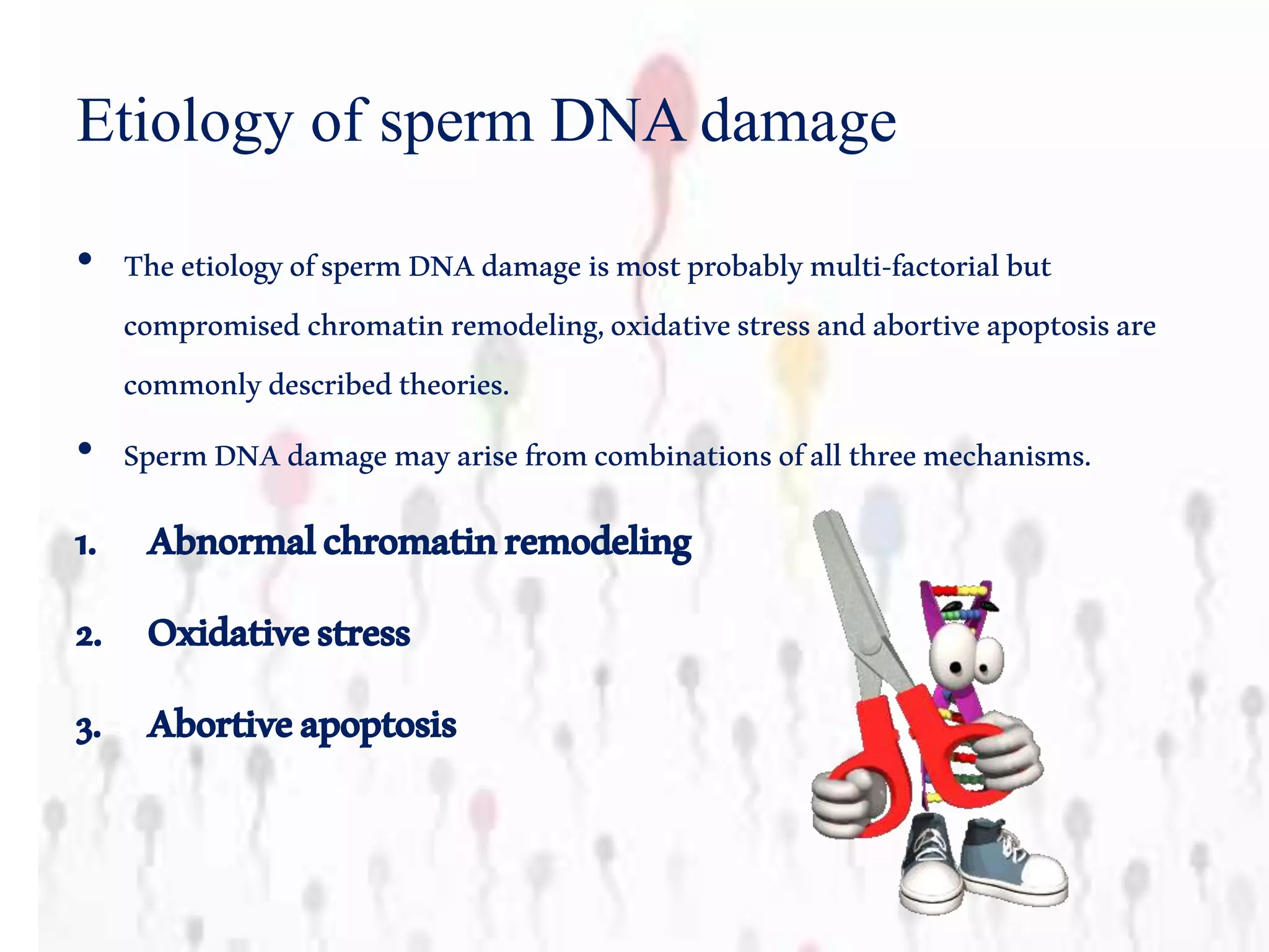 Sperm DNA fragmentation | PPTX