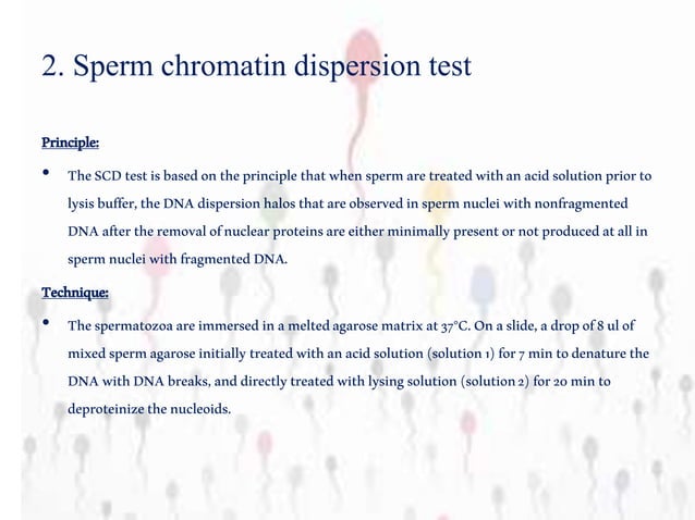 Sperm DNA fragmentation | PPTX | Infertility | Reproductive Health
