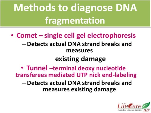 Dna fragmentation.Life care centre ,IVF ICSI