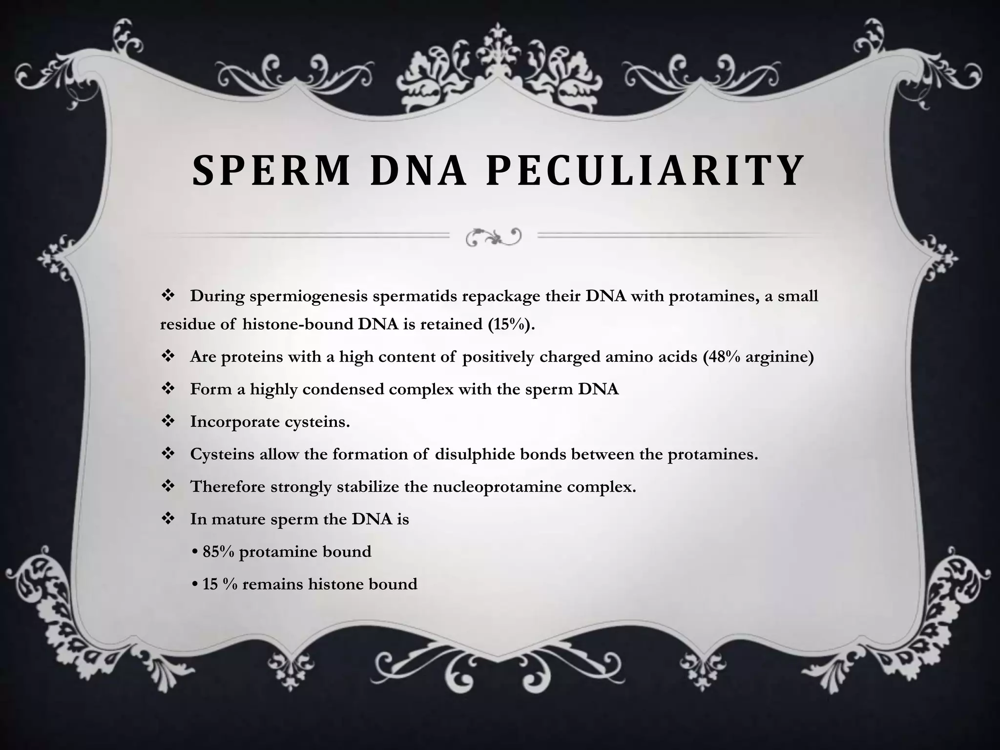 Dna fragmentation | PPTX